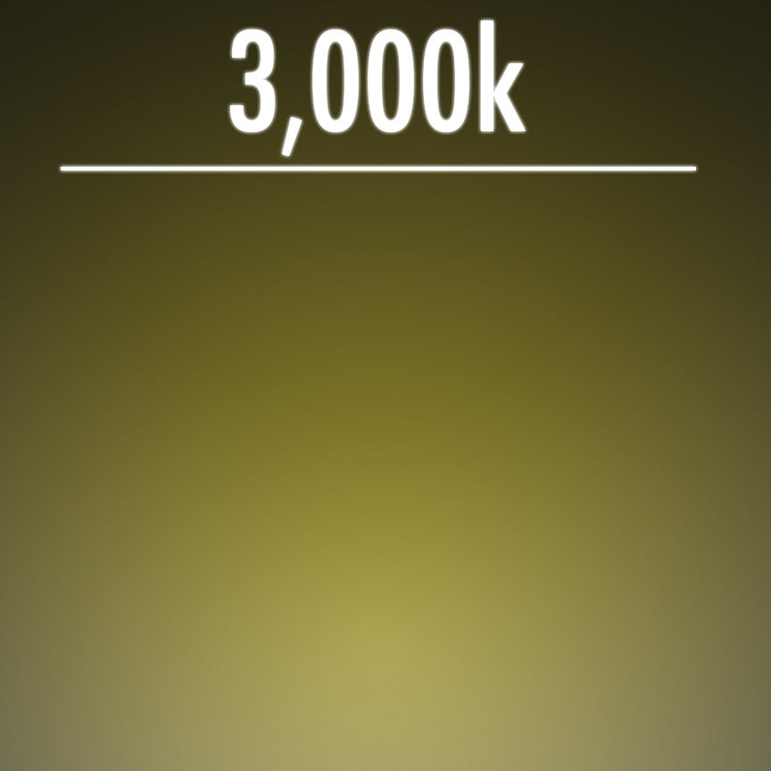 9007 HID Conversion Kit - Bright, Durable | HID Nation